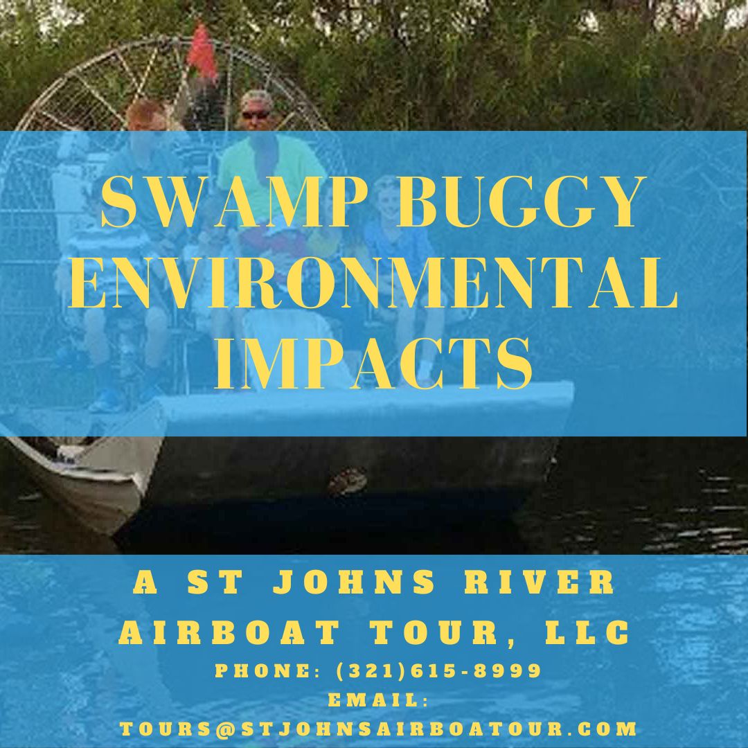 Swamp Buggy Environmental Impacts • A St. Johns Airboat River Tour